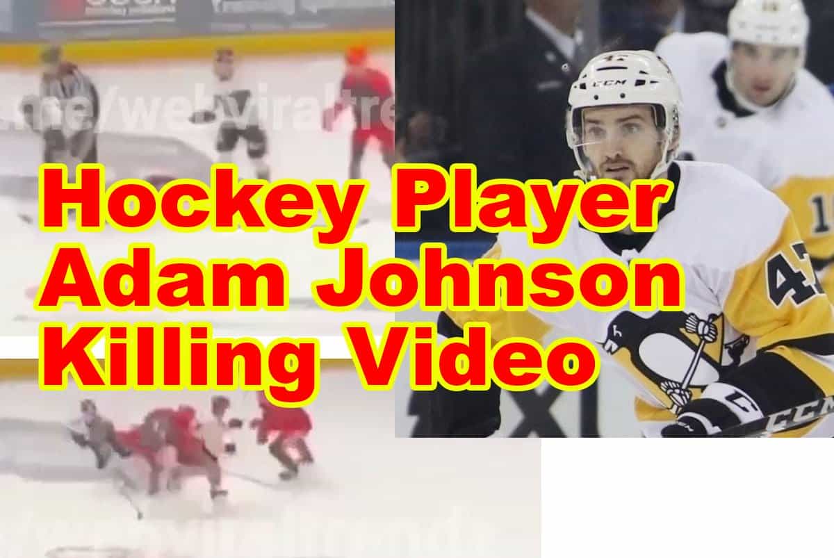 Ice Hockey Player Adam Johnson Dead at 29 After "Freak Accident ...